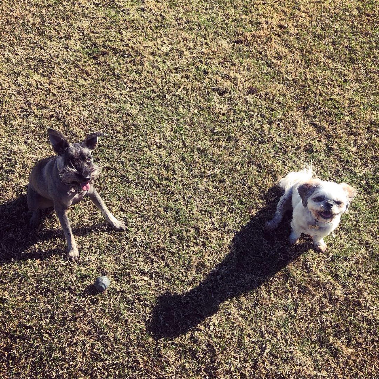 Leiah Moore 3 – Progress Notes