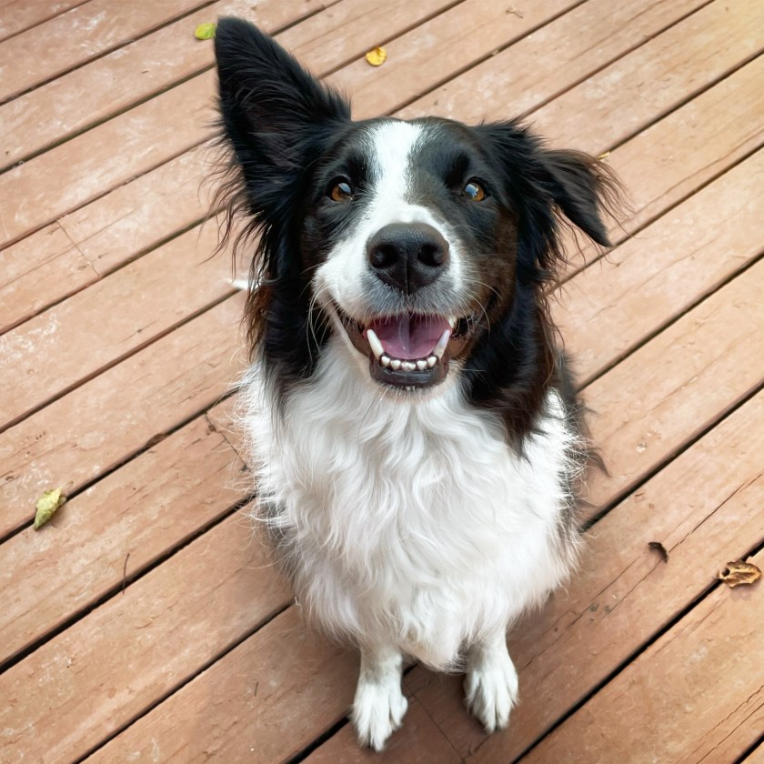 Resident Spotlight: Dr. Mindy Talley – Progress Notes